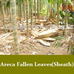 Bio Plates - Auro Monish Exports (Go Green Areca): Bio Plates - Auro ...