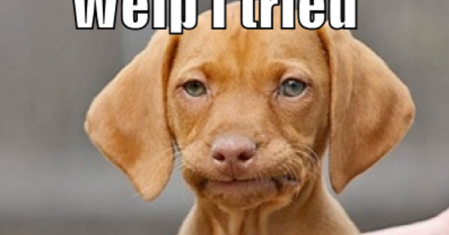 welp の意味・用法・例文-英語ネットスラング辞典