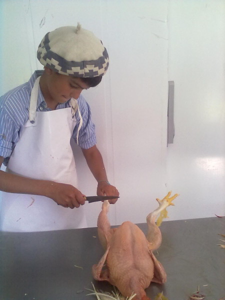 Prácticas Profesionalizantes: Faena de pollos parrilleros ~ EESA Nº 1 ...