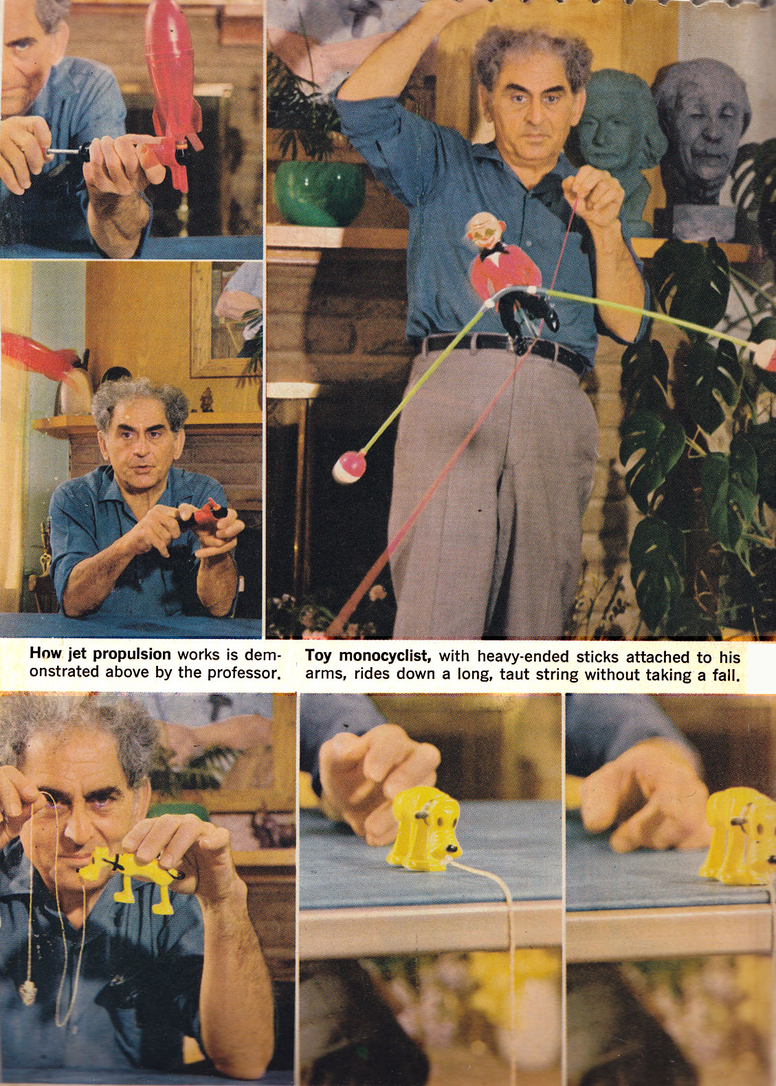 Progress is fine, but it's gone on for too long.: Professor Julius ...