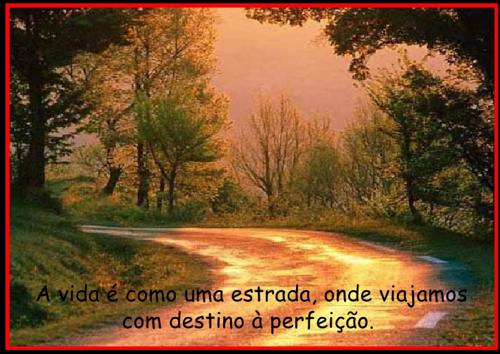 blog do NEPT: Na estrada da Vida