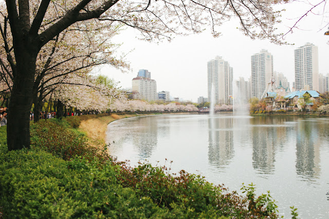 Popular Places in Seoul during Spring | PinoySeoul.com