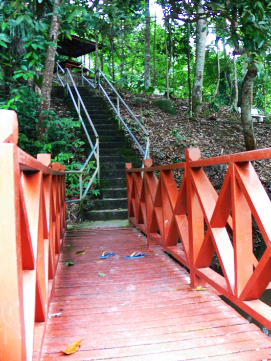 Foto Memori Ku: Istimewanya Hutan Lipur Soga Perdana , Batu Pahat