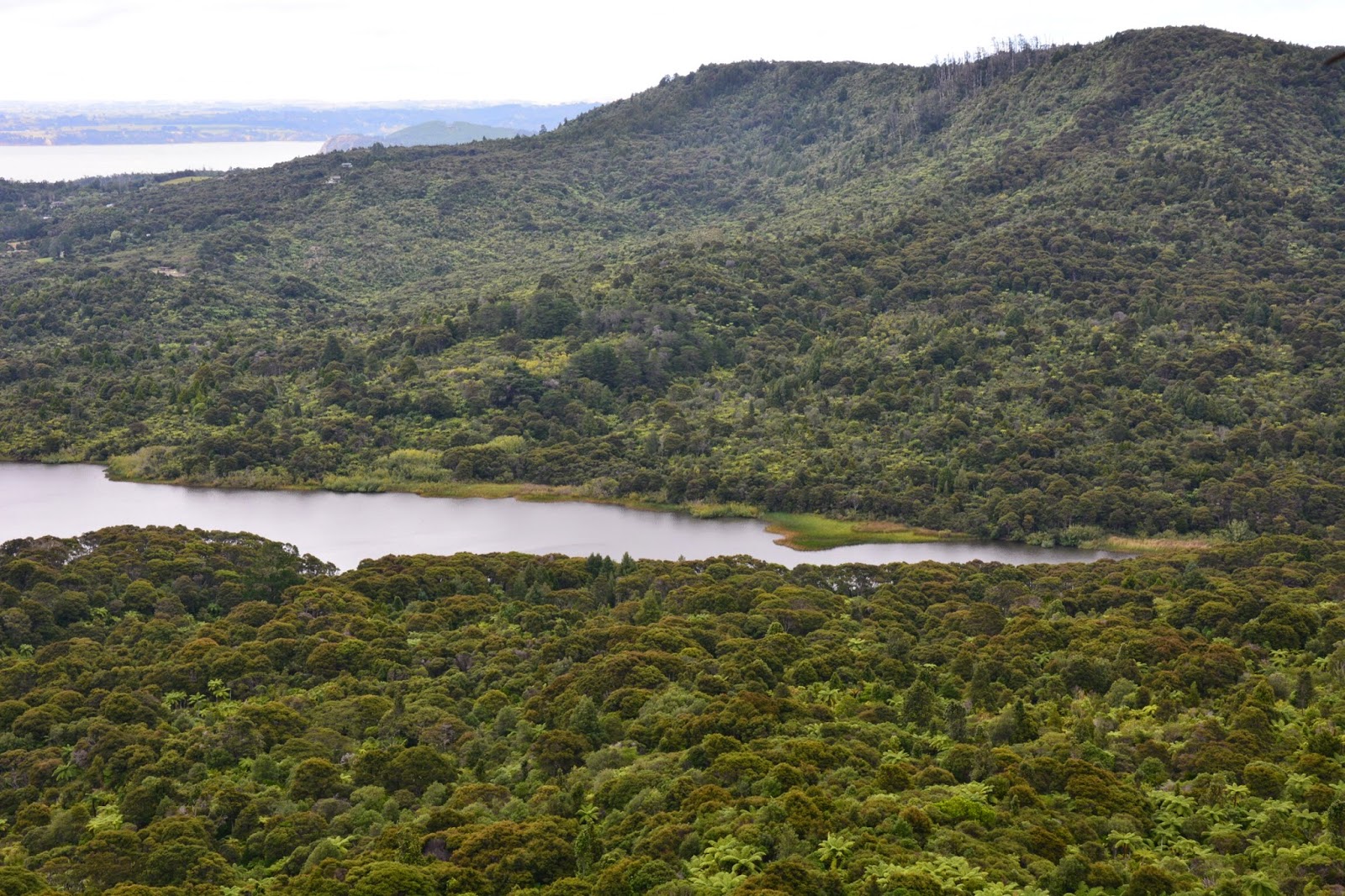 PL Fallin Photography: Waitakere Range Park, Arataki Visitor Center New ...