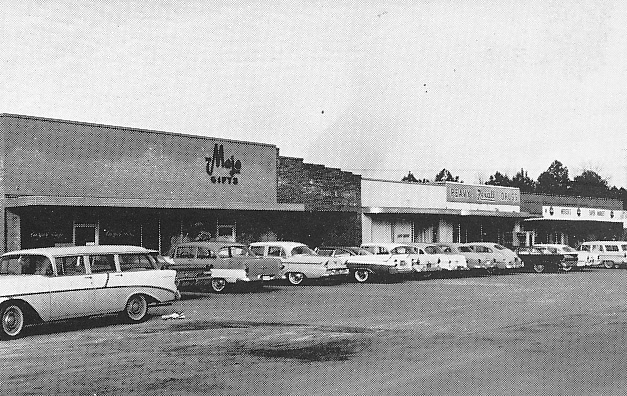 IMAGES OF OUR PAST - MERCER'S SHOPPING CENTER - RICE AVENUE - DUBLIN ...