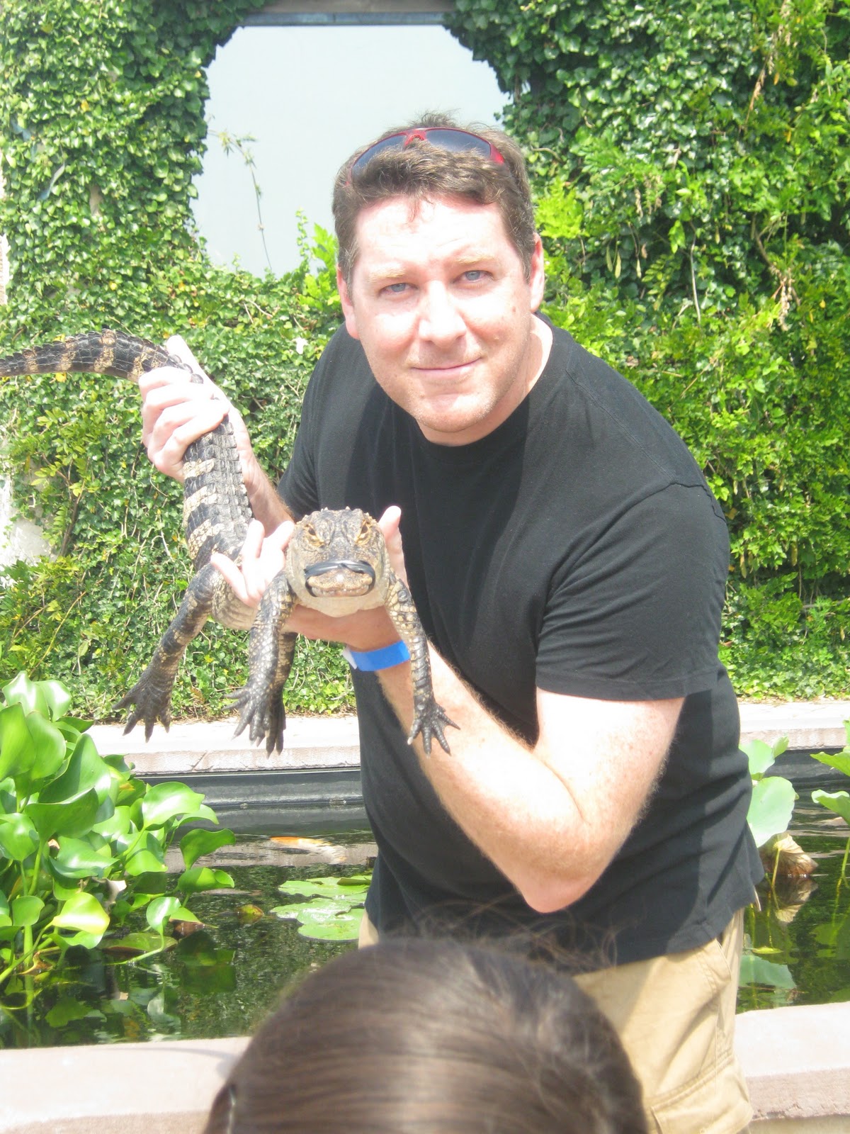 8 Reasons I’m psyched to see ALLIGATOR this Monday — KEVIN GEEKS OUT