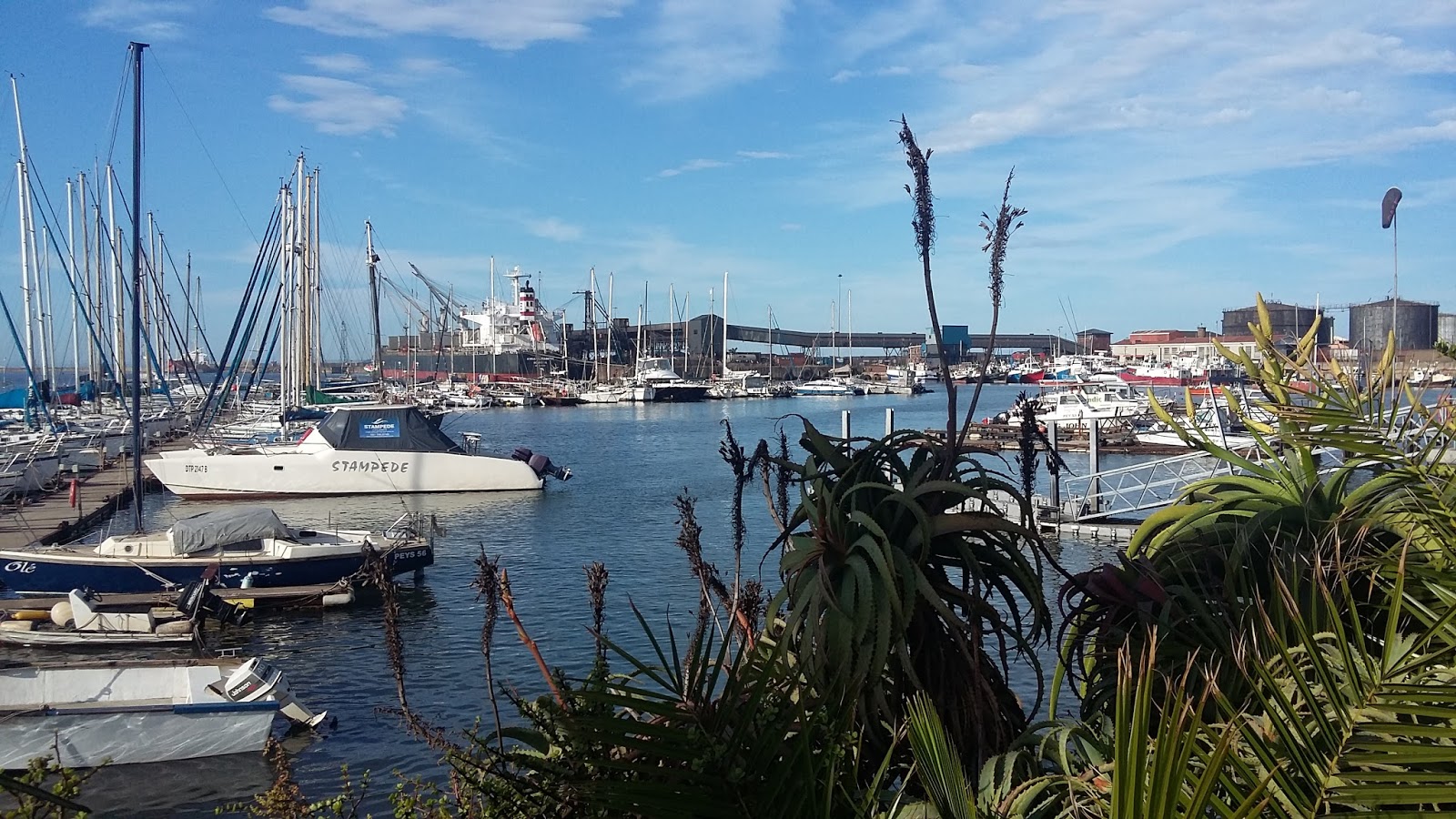 Port Elizabeth: Harbour Algoa Bay Port Elizabeth