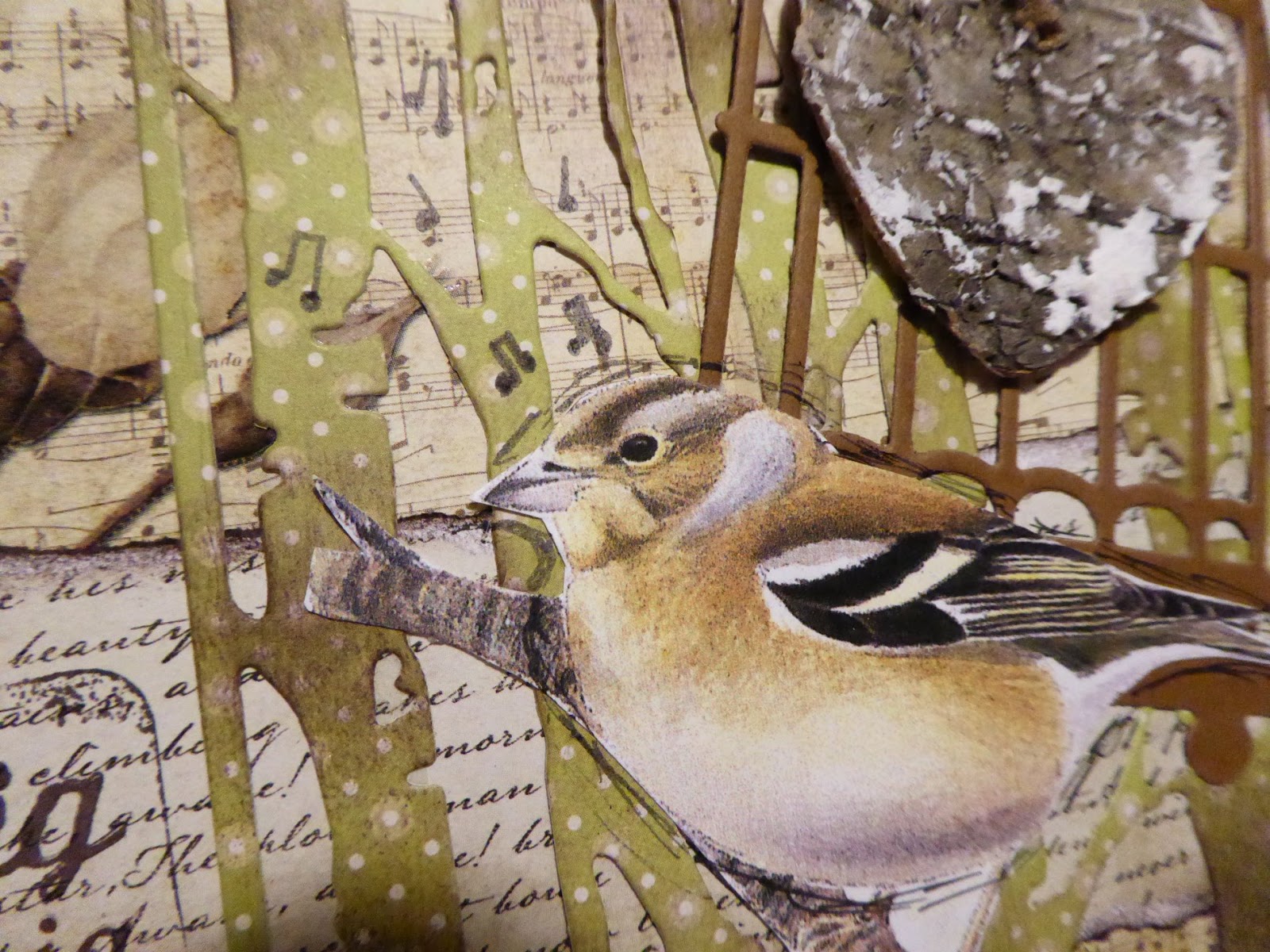 Fasters korthus: Hun bogfinke kort