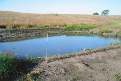 Restoring The Landscape With Native Plants: Creation of a Prairie Pond