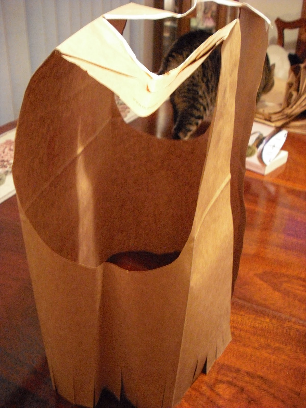 RIGHT WHERE WE BELONG: Instructions for How To Make A Western Vest From ...