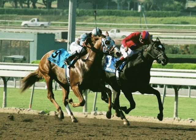 Top 31 Amazing And Dashing Horse Racing Wallpapers In HD