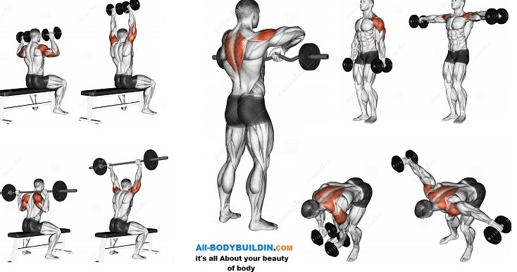 Best Shoulder Workout - 5 Exercises Explained! ~ multiple fitness