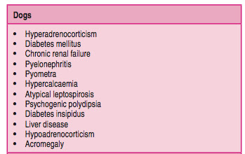 Insights into Veterinary Endocrinology: Water Intoxication in Dogs ...