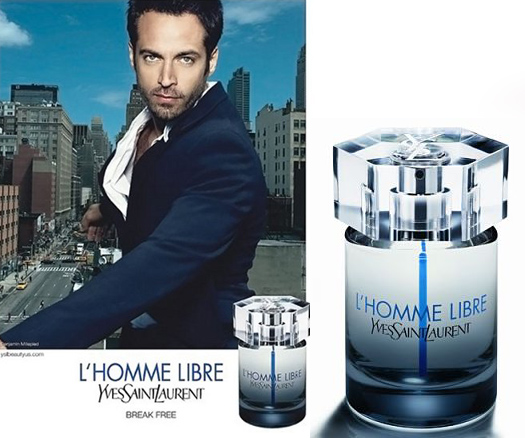 All about the Fragrance Reviews : Review: Yves Saint Laurent - L'Homme ...