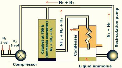 Manufacture of Ammonia by Haber's process | HSEB Chemistry notes - Plus ...