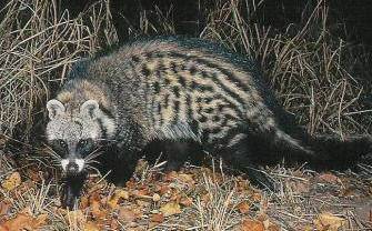 "Sampath Speaking" - the thoughts of an Insurer from Thiruvallikkeni ...