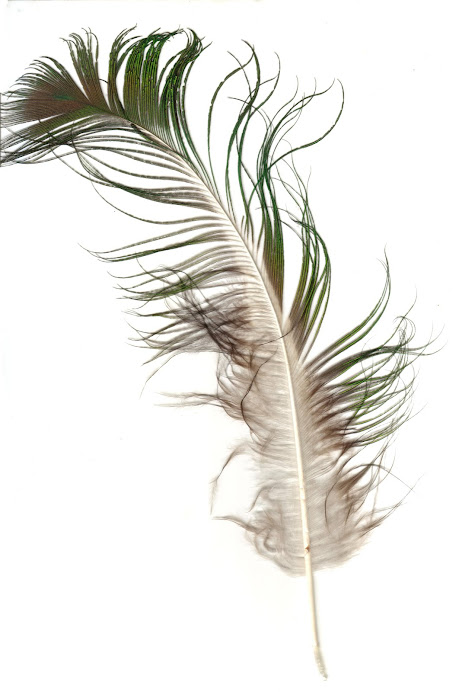 Poesía&Prosa: ANÁLISIS LITERARIO