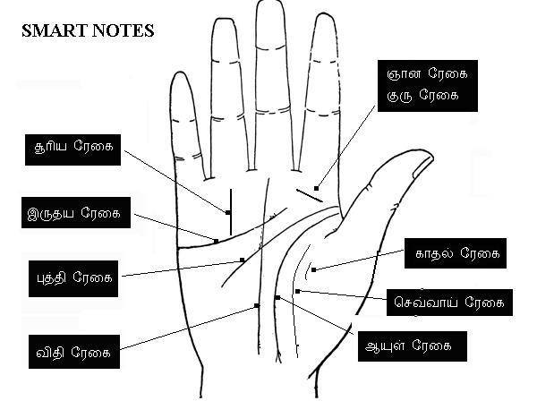 Tamil Jothida Palangal -தமிழ் ஜோதிட பலன்கள் : ஜாதகம் இல்லையா ? கைரேகை ...