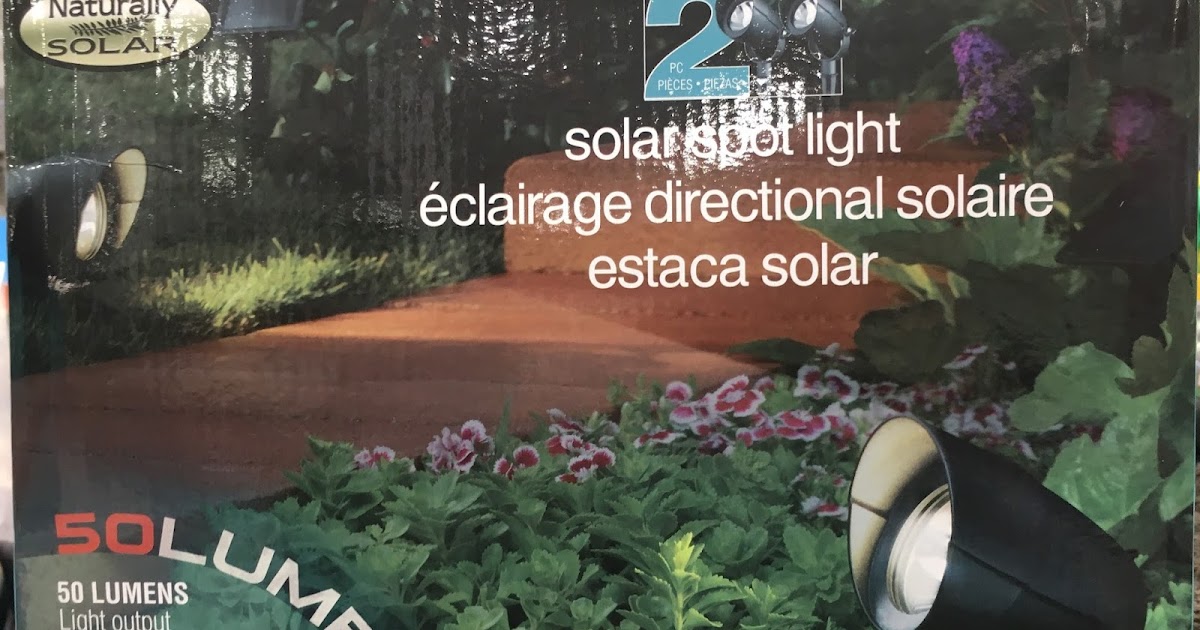 Solar Cattail Lights Costco