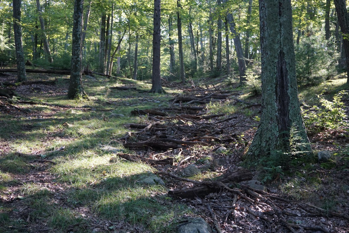 Harriman Hiker: Harriman State Park and Beyond: Pine Swamp Mine Loop