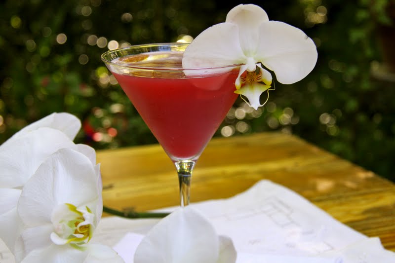 Salvation Sisters: Blood Orange Cosmopolitan