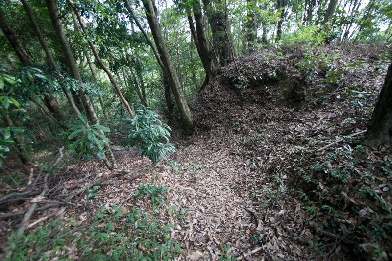 Sadowara Castle -Two-sided castle of two-sided domain- | Ken's Storage ...