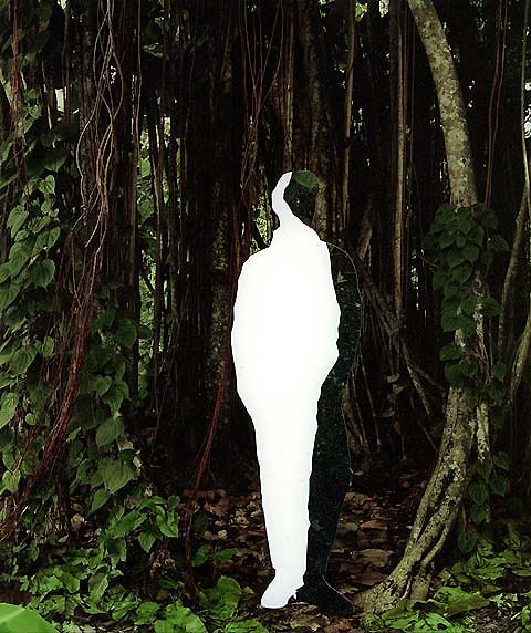 K H E R L A K: Paul Butler’s What’s Within series