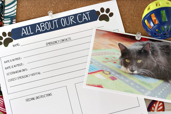 Preparing For A Cat Sitter With A Free Printable Cat Information Preparing For A Cat Sitter With A Free Printable Cat Information