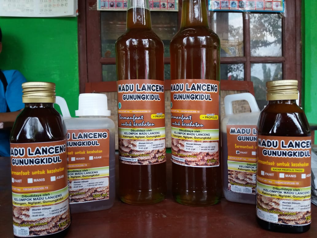Budidaya Lebah Lanceng (Apis Trigona) KTH Madusari, Nglipar Gunungkidul ...