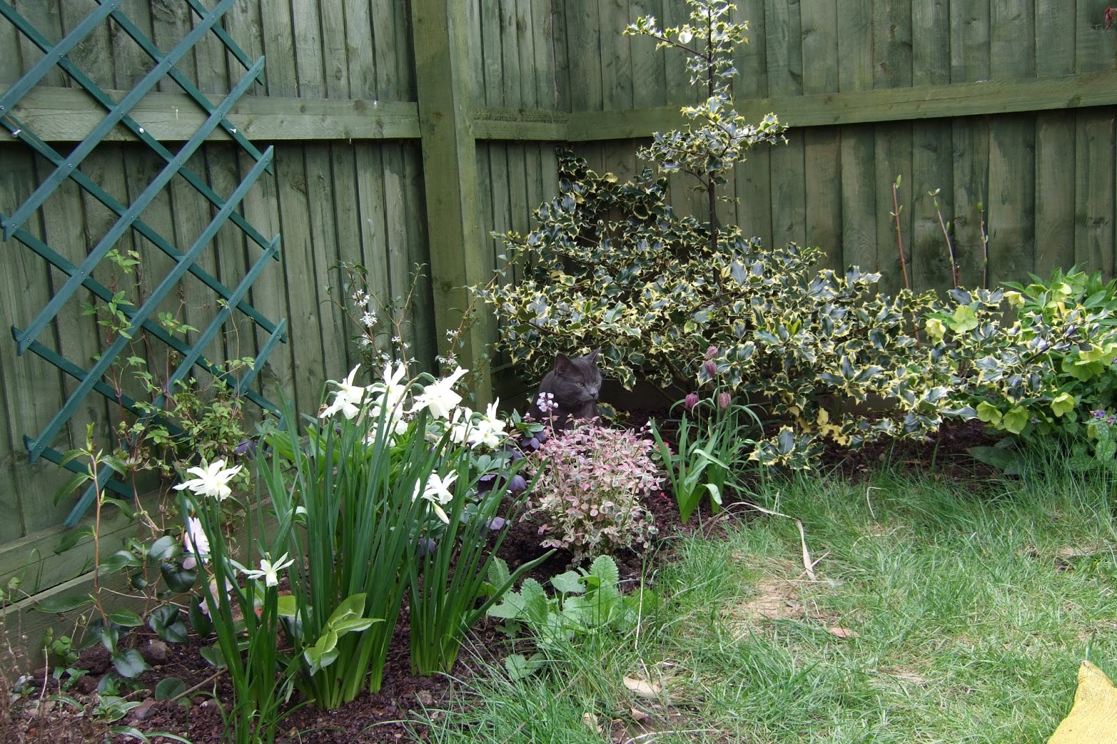 The Almond Rod - because God is watching over His Word to perform it ...