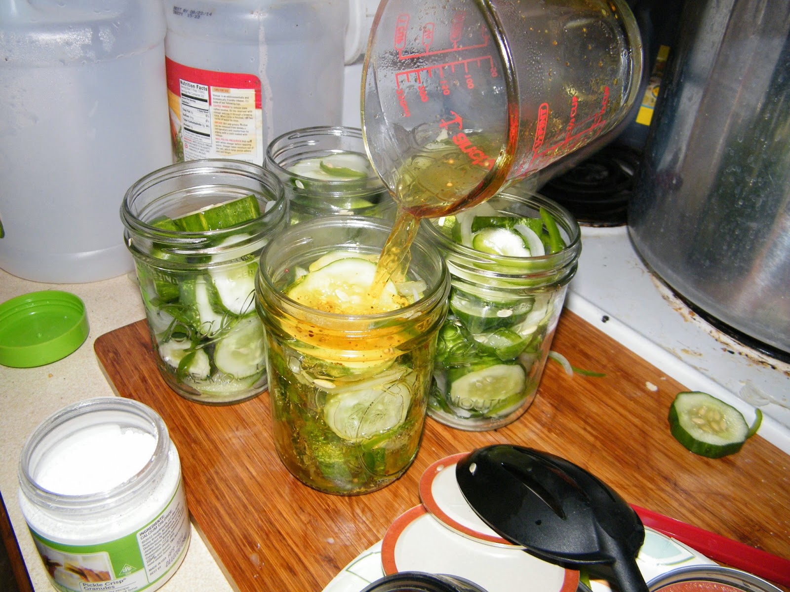 Veronica the Lazy Diva's Quasi-Crafty Blog: Here we go again ...