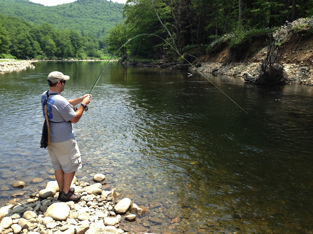 FLY FISHING in NEW ENGLAND: DEERFIELD RIVER