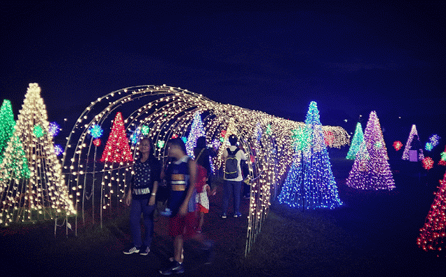 Setting Footprints: Magical Field of Lights - a treat for the whole ...