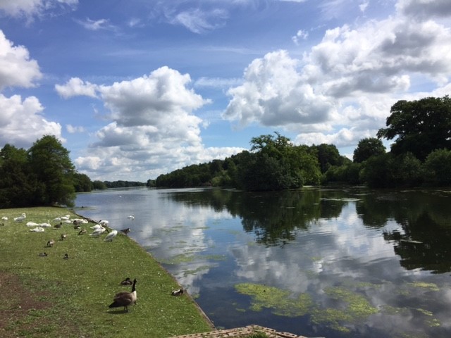 National Trust Scones: Clumber Park