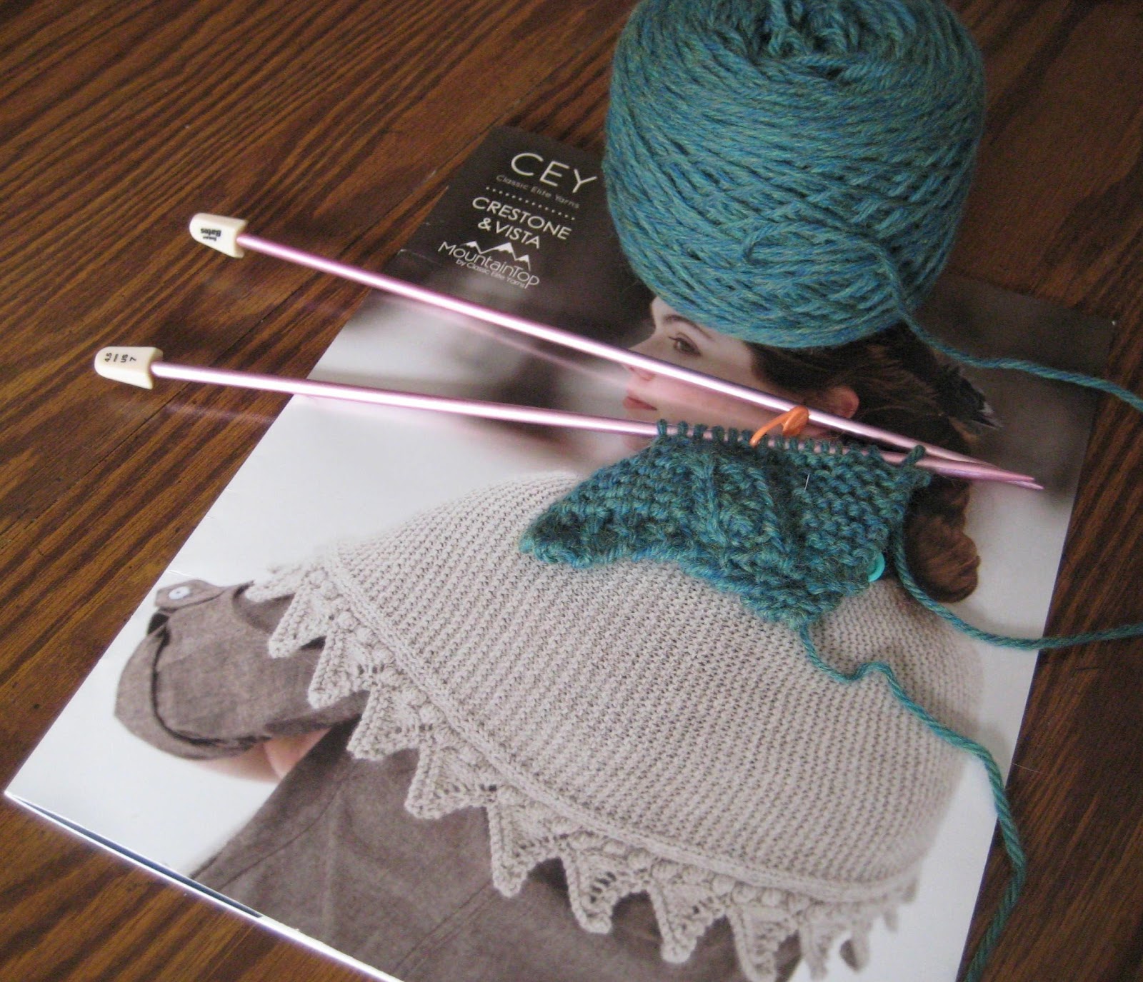 Day's Class Notes: A Knitting Disability