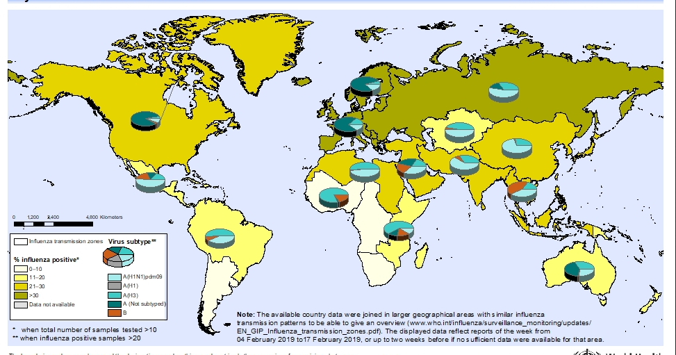 Avian Flu Diary: WHO Global Influenza Update #336