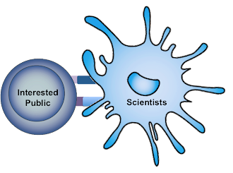 Escaping Anergy: The Immunology Research Blog: Thinking Small To Save ...