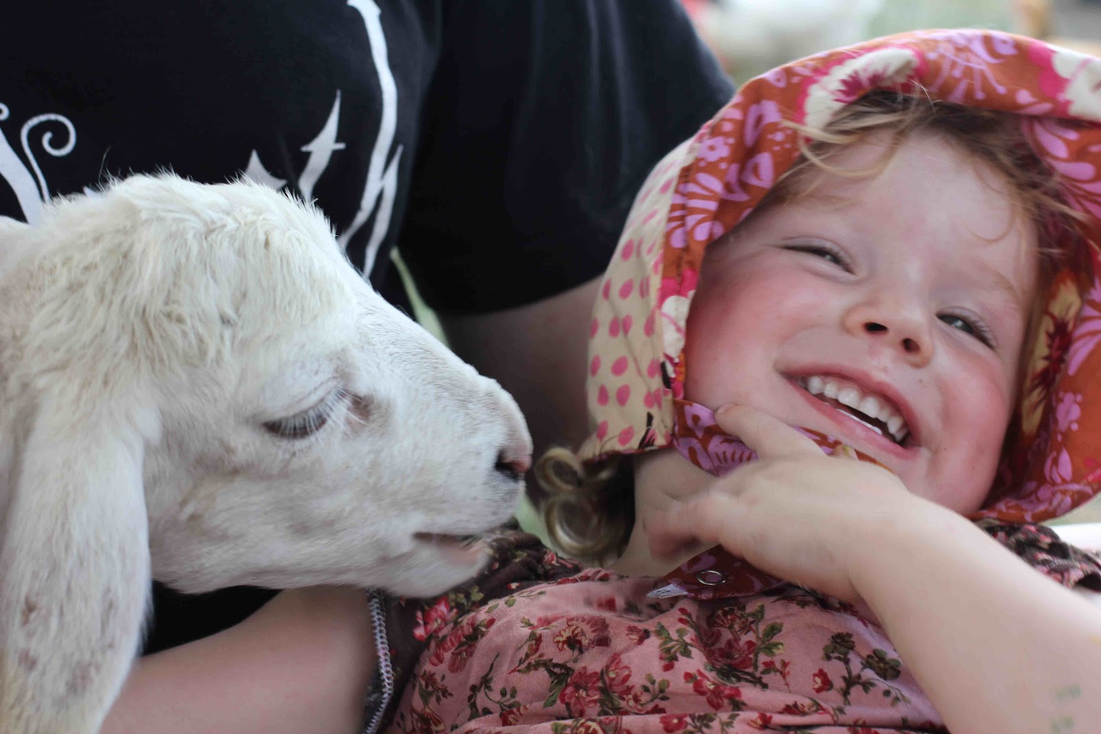 Wilder: Sunday Stills