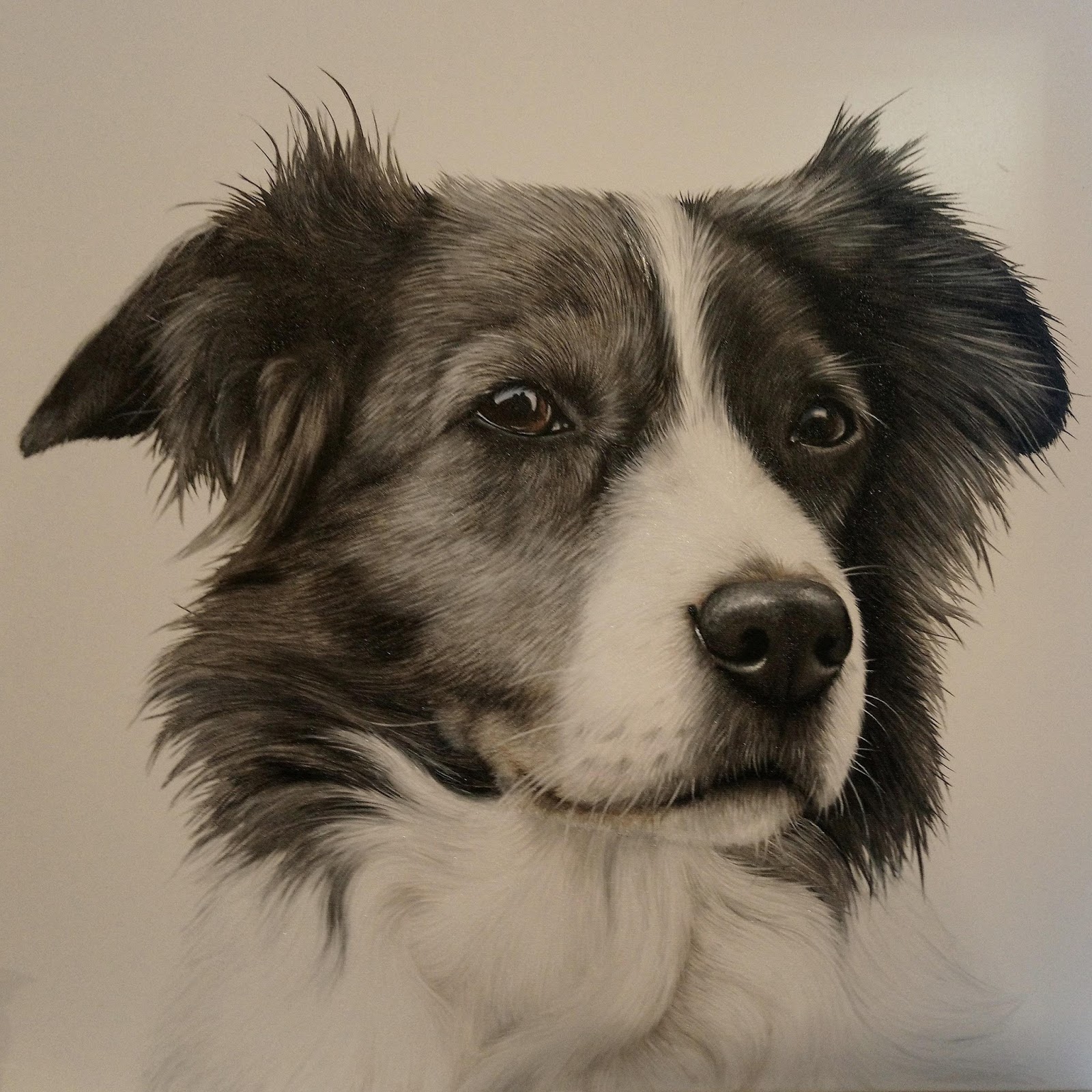 Pet Portraits Dorset UK artist paints dog cat oil painting from photo