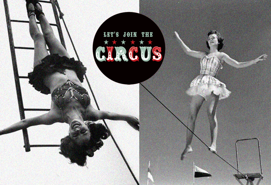 CASE of CURIOSITIES: the TREND: Vintage Circus Style