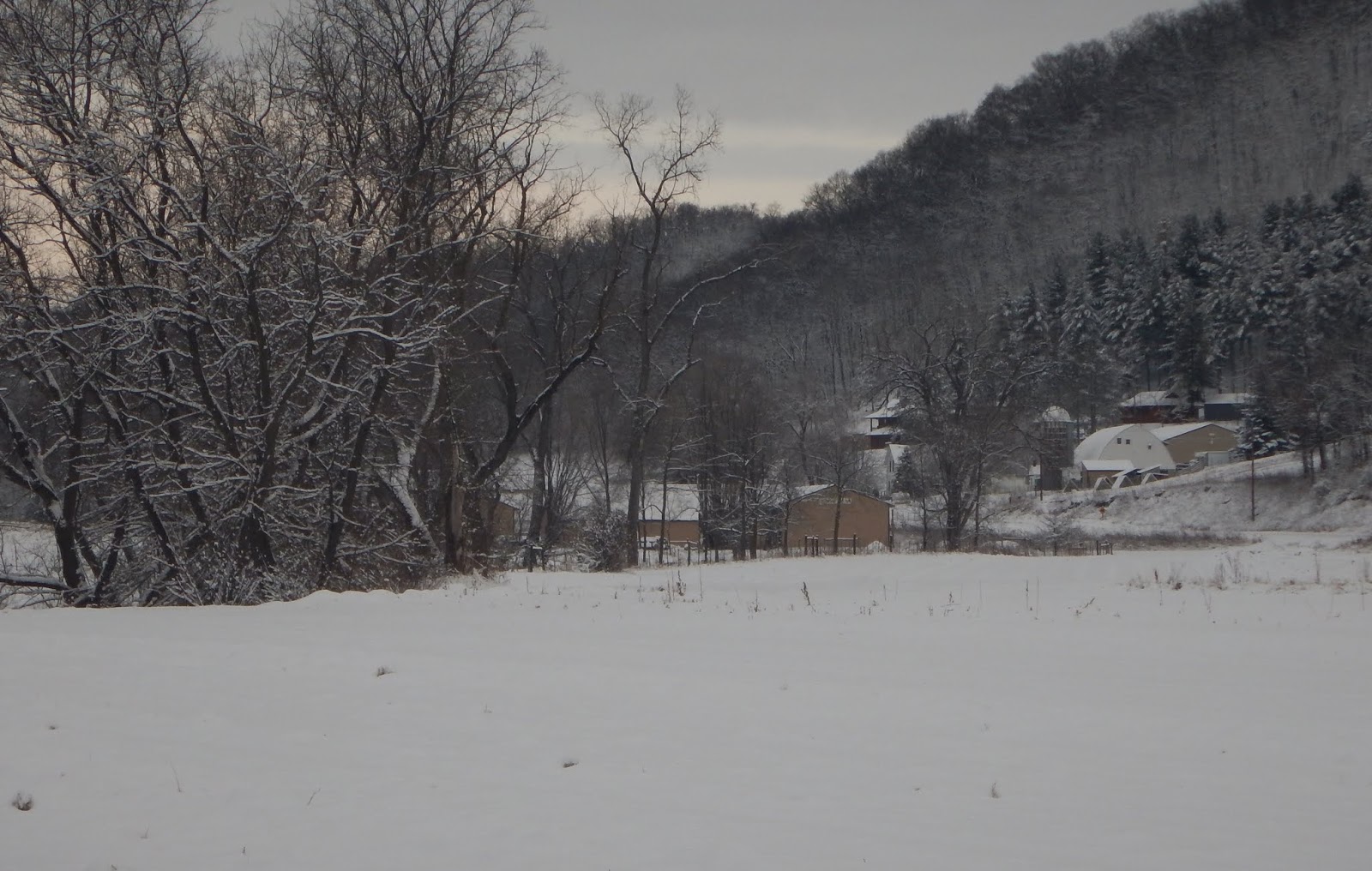 Harmony Valley Farm: January Farm Update: What’s in store for our 2019 ...