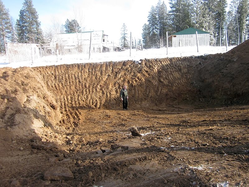 Rural Revolution: Pond update