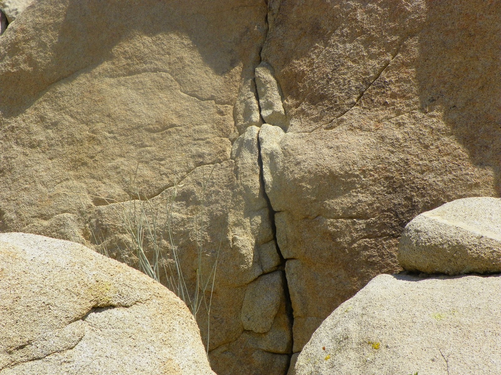 ARMCHAIR HIKER SAN DIEGO & MORE: Ancient Yoni Fertility rock carving in ...