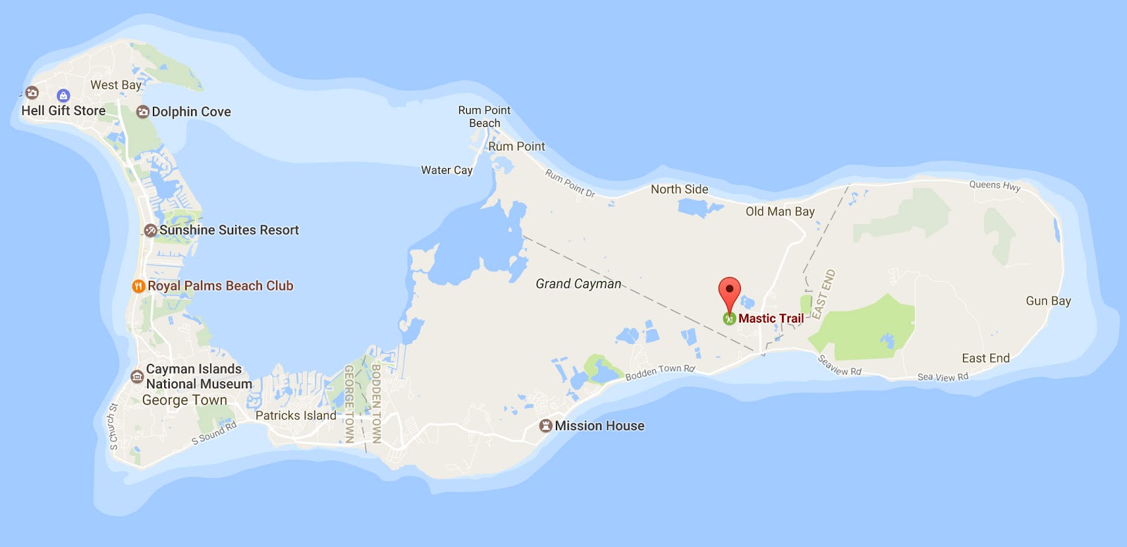 SILVER SANDS: The Mastic Trail: Hiking in Grand Cayman