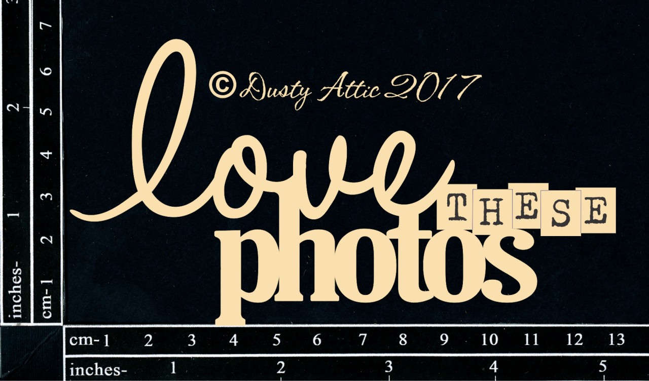 The Dusty Attic Blog: Love these Photos - Sanderijn de Bruin