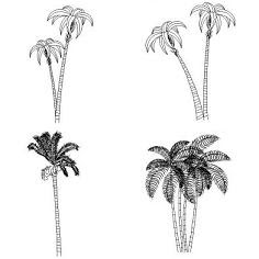 DWG-DXF-SKP-RVT-BIM-CAD