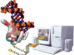 Bioinformatica
