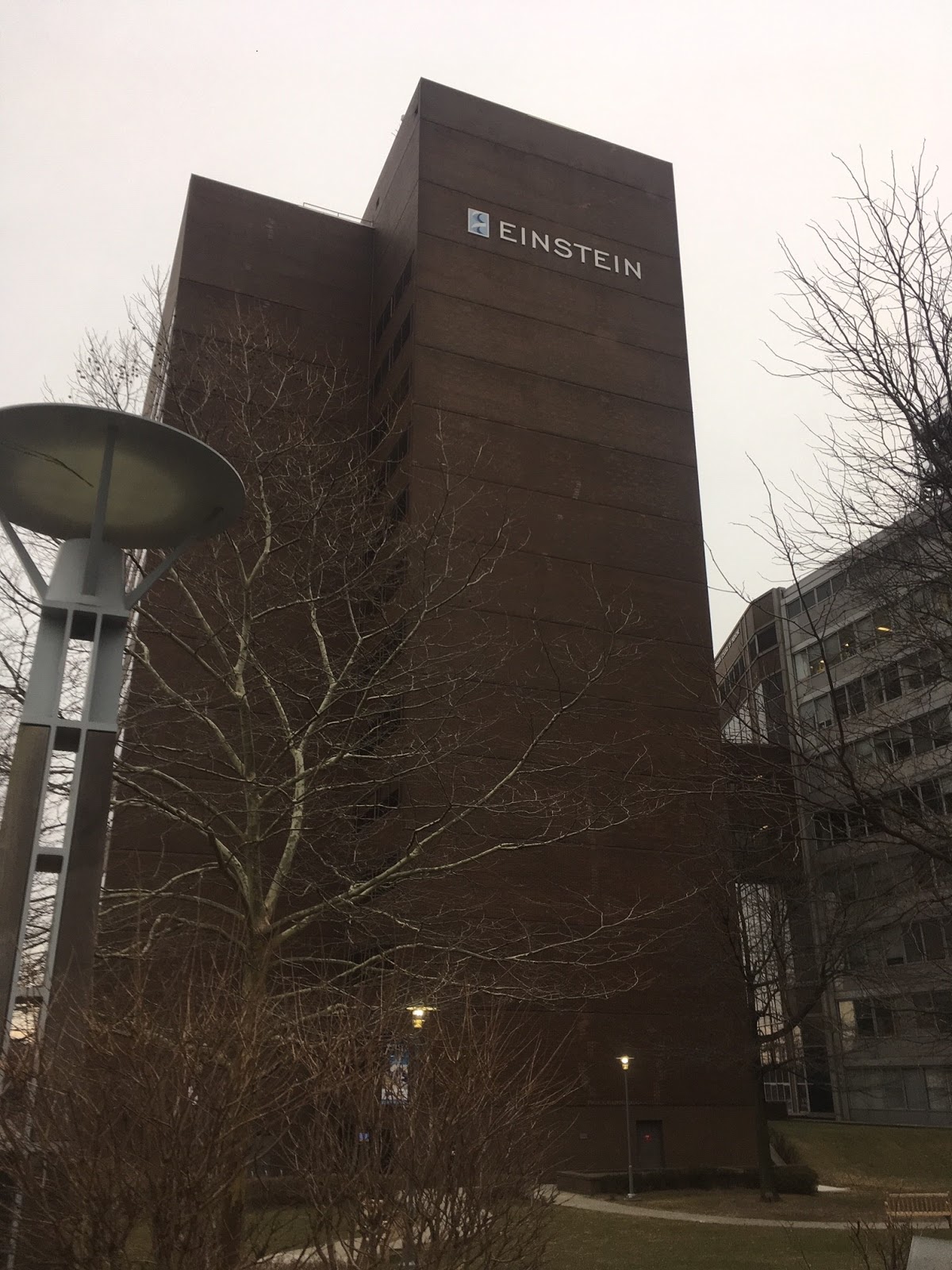 vox médica : Thank You Albert Einstein College of Medicine: ID Grand ...