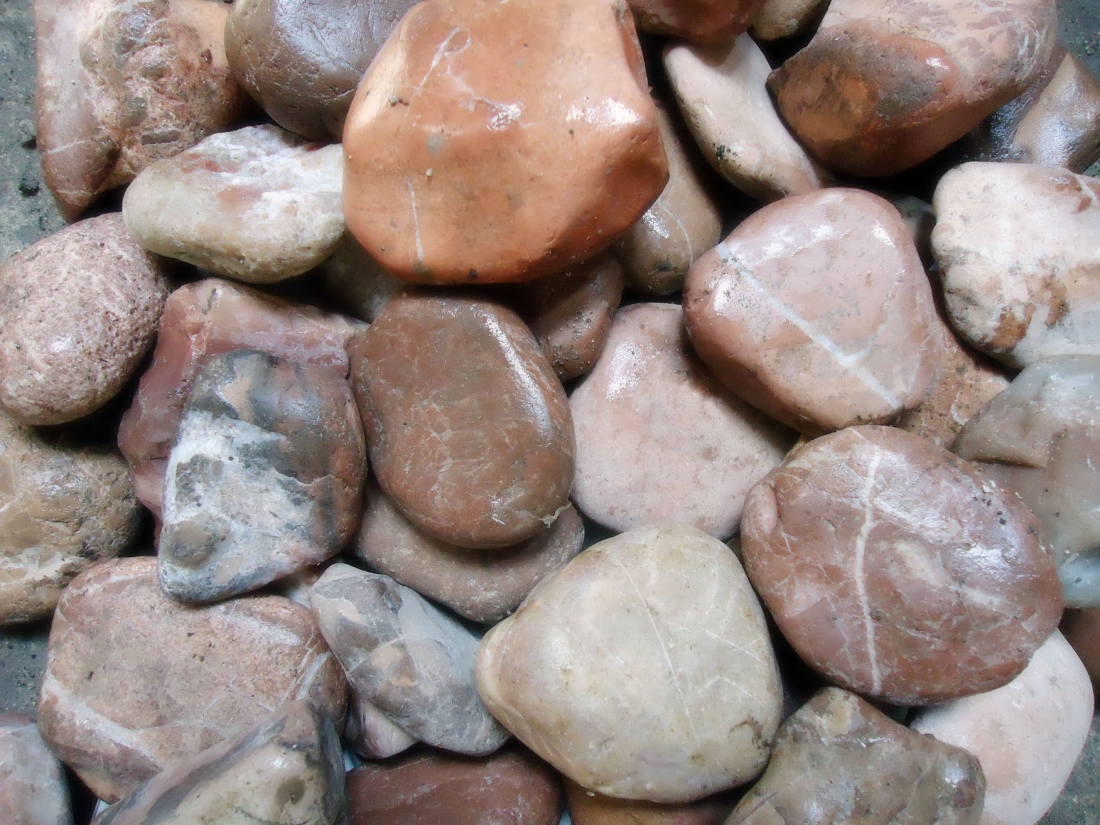 Batu Alam Koral - LHQ STONE