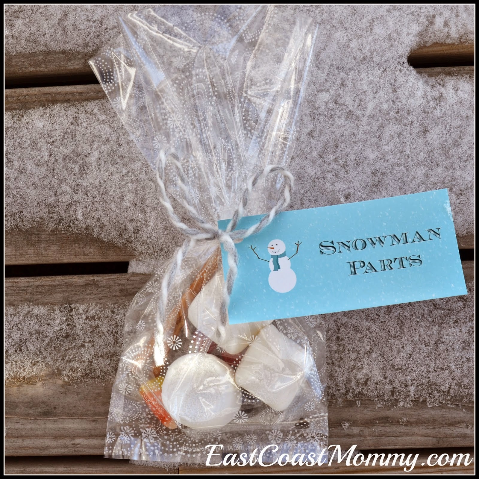 East Coast Mommy: 13 Snowman Crafts and Activities